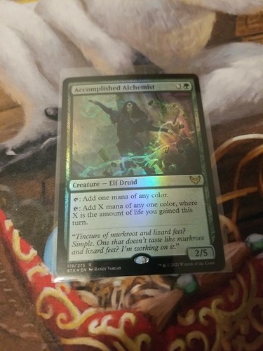 Accomplished Alchemist Foil MTG Strixhaven - Pack Fresh - | eBay