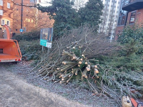 Wood Timber Grab Tree Work Arborculture Operated Hire | eBay UK