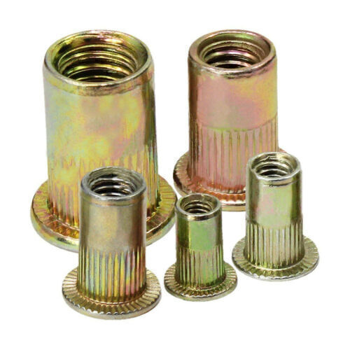 150 pieces M3-M10 blind rivet nut set thread rivets flat head zinc ...