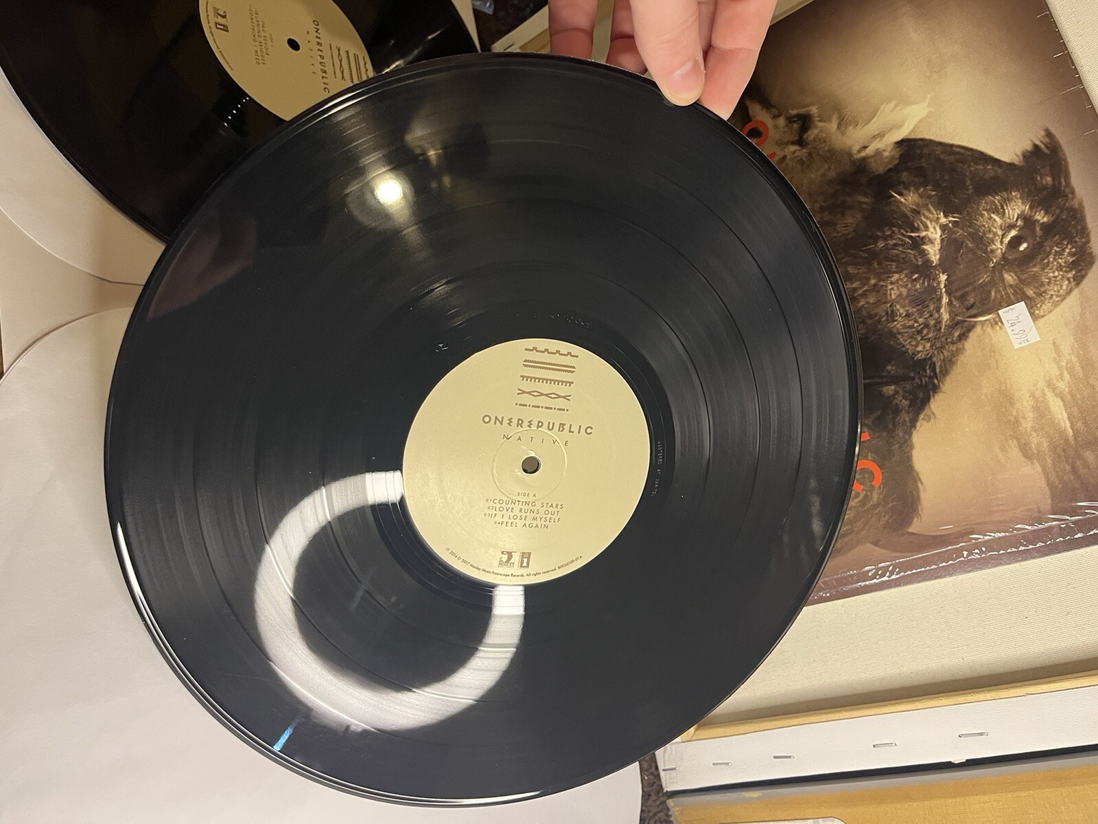 Onerepublic Native Background