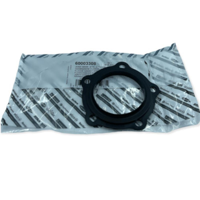ARISTON FLANGE GASKET 5 HOLES 60003308 EX 924001 WATER HEATER | eBay UK