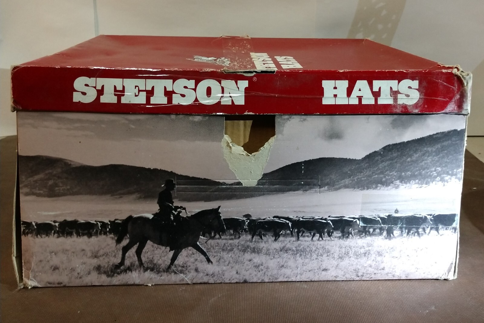 Genuine Authentic Stetson Western Cowboy Hat Box - Bo… - Gem