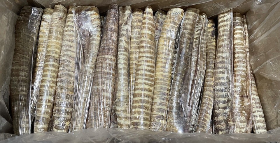 $$Bulk Sale$$ 12" Beef Trachea Tube 25 Units Fresh Dog Chew Natural ...