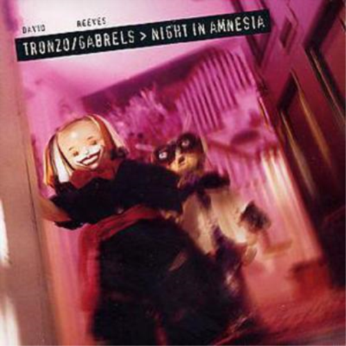 David Tronzo And Reeves Gabrels Night In Amnesia (CD) Album | eBay