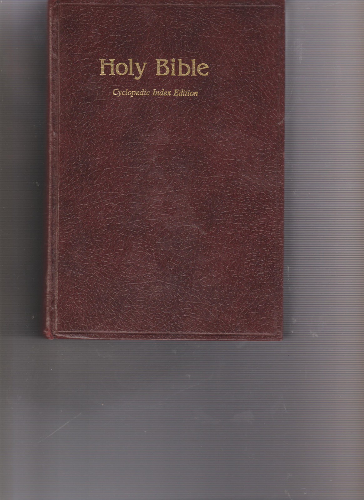 Holy Bible -Cyclopedic Reference Index edition- New King James Edition ...
