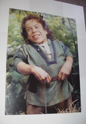 Willow Poster # 5 Warwick Davis as Willow Ufgood Nelwyn Disney+ Series ...
