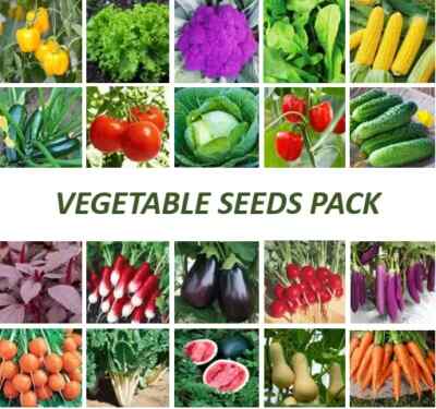 VEGETABLE SEEDS Heirloom Vegetable Seeds 20 Packets Mix Vegetable Seeds ...