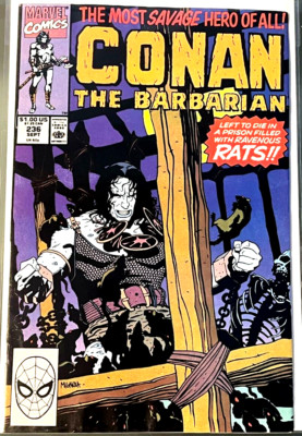 CONAN THE BARBARIAN #236 (VF/NM) Young Conan! Mike Mignola Cover! 1990 ...
