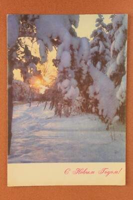 New Year Winter forest. Sun. Trees in snow. Russian unused postcard ...