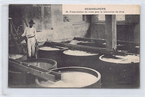 GUADELOUPE - Fermentation du du vesou pour la fabrication du rhum - Ed ...