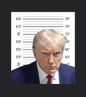 President Donald Trump Mug Shot Sticker! Decal Fast Ship, Multiple ...