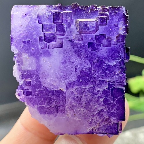 95G Natural purple fluorite Matrix array stepped fluoritemineral ...