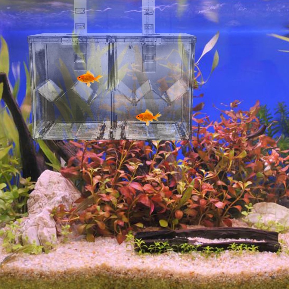 Acrylic Fish Breeding Box Fish Breeding Tool Aquarium Fish Breeding ...