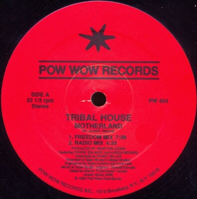 Tribal House- Motherland House 1990 PW-454 Vinyl 12'' | eBay