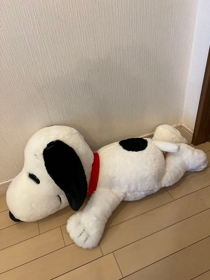 Minion stuffed toy Snoopy large and small set | eBay