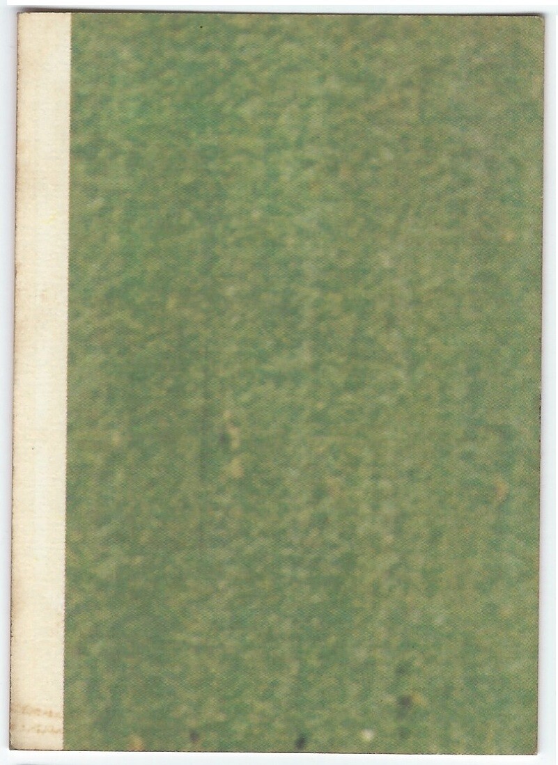 Rare 1973 NORTH MELBOURNE KANGAROOS AFL Card PAUL FELTHAM Scanlens ...