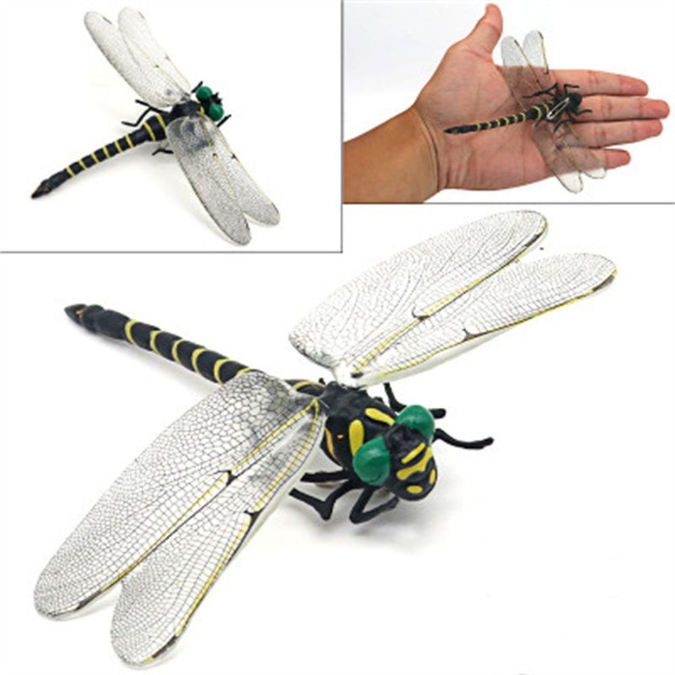 Toys PVC Dragonfly Action Figures Dragonfly Model Insects Model Animal ...