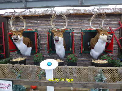 Photo 6x4 Festive reindeer at Notcutts Garden Centre Maidstone ...