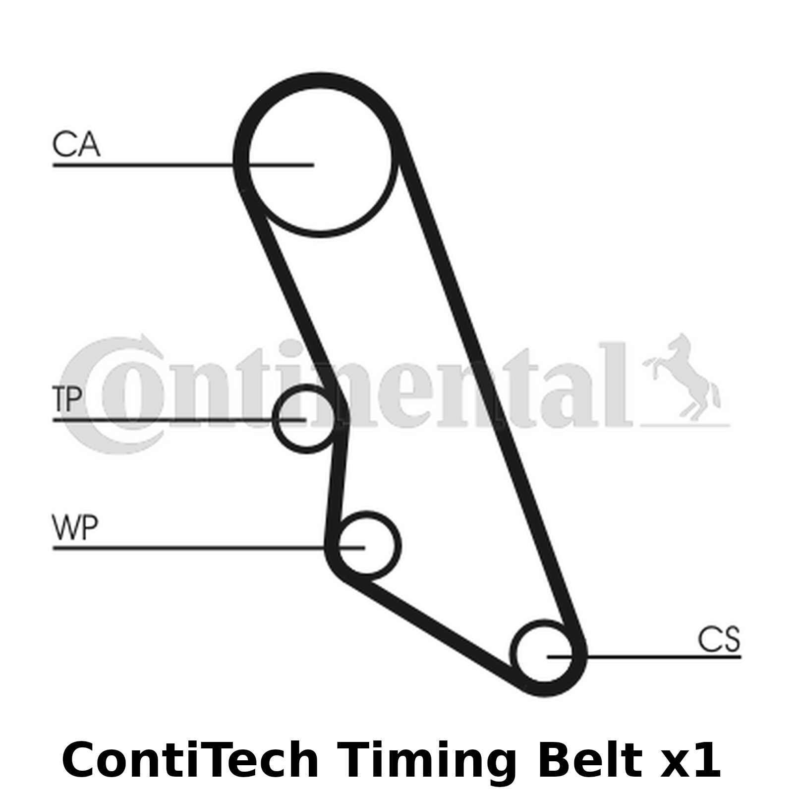 ContiTech Timing Belt - CT865 , 114 Teeth, Cam belt - EO Quality | eBay