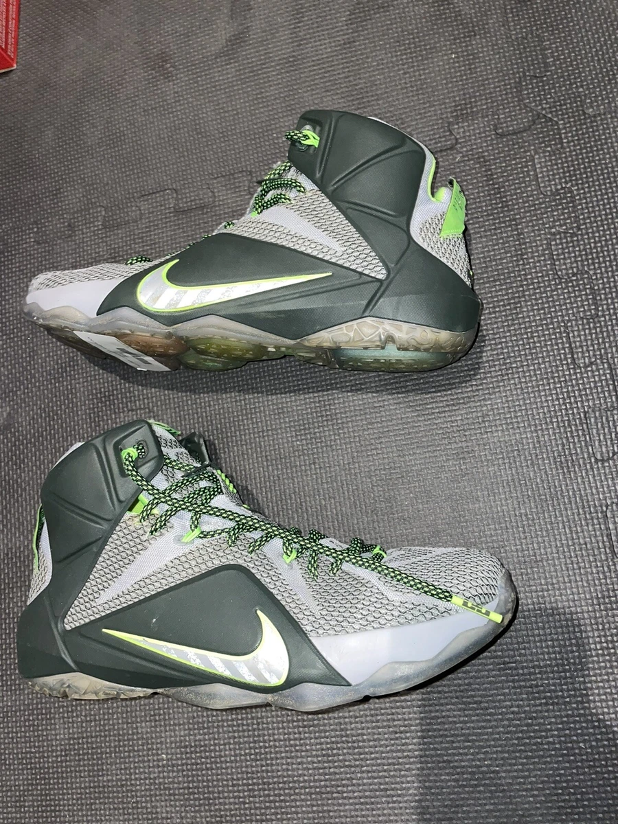 Lebron 12 Dunk Force Box