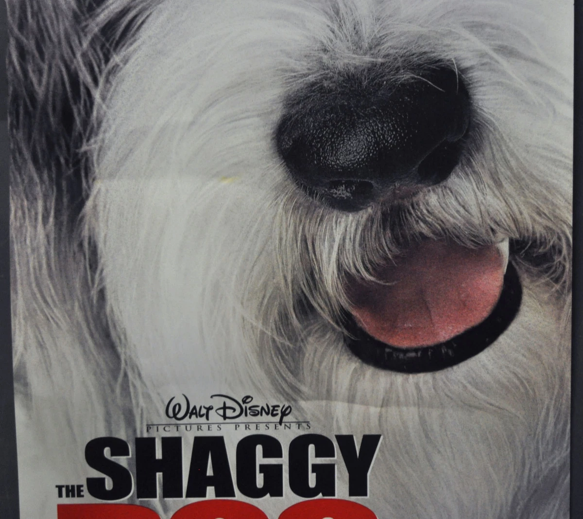 The Shaggy Dog 2006 Poster