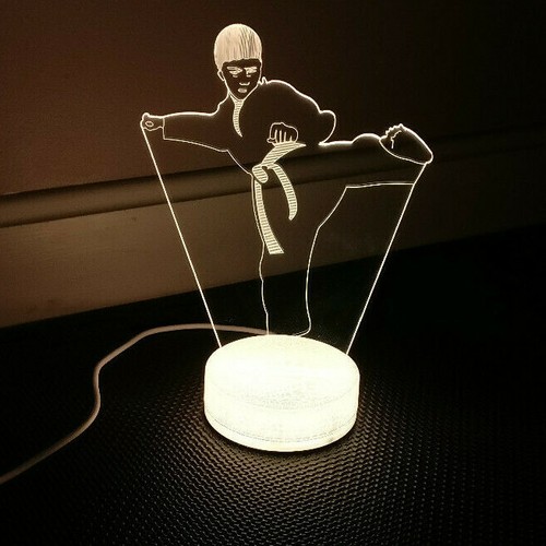 Karate Kid 3D Night Light Color Changing Illusion Lamp Sport Fan ...