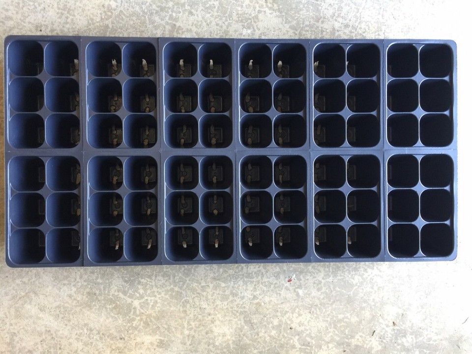 10 Pack Standard Flat Insert 72 Site Tray Propagation Cloning Seedlings ...