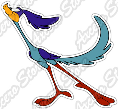 Roadrunner Road Runner Wiley Coyote Cartoon Car Bumper Vinyl Sticker ...