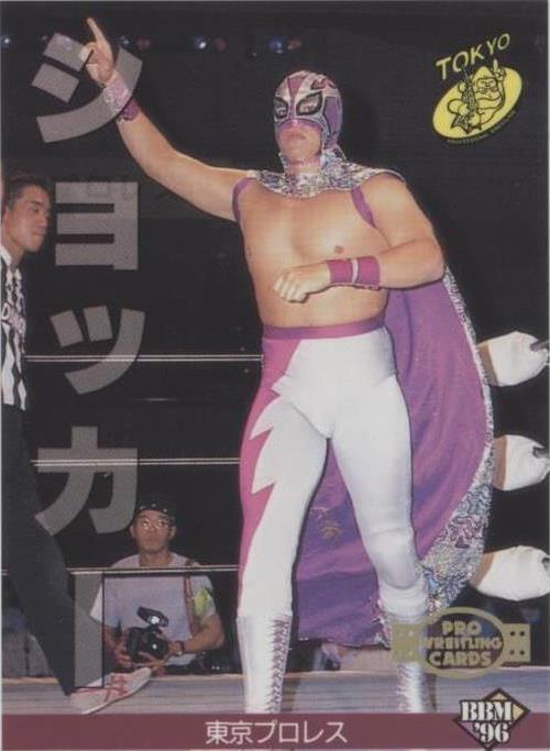 1996 BBM Pro Wrestling - Shocker #206 for sale online | eBay