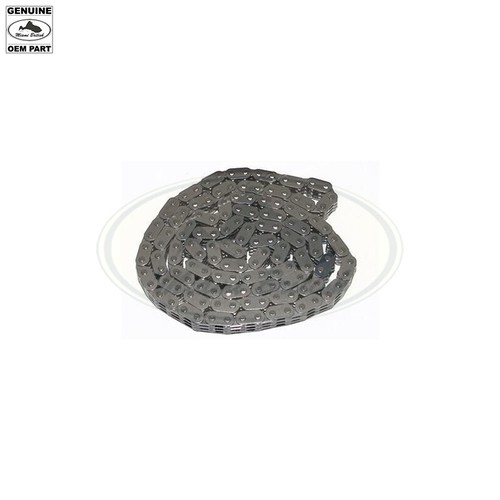 JAGUAR TIMING CHAIN 2.0L 16V XF XJ XE RANGE F-PACE AJ813088 OEM | eBay