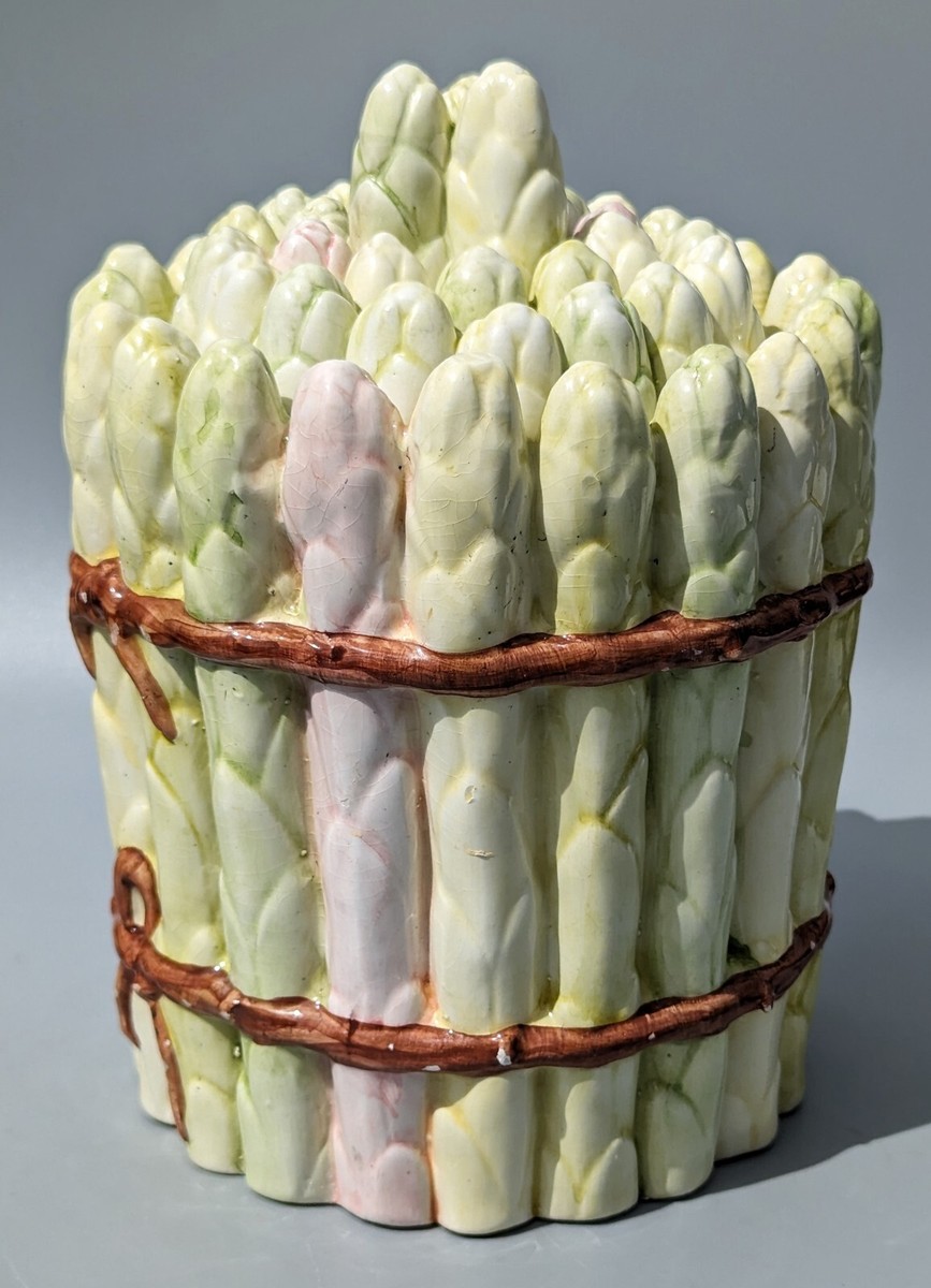 Ceramic Asparagus Asparagus Fern In White Ceramic Pot