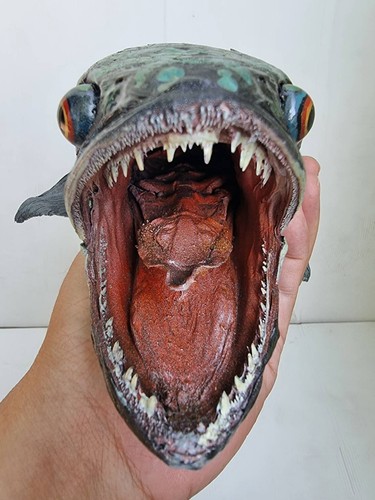 Real RARE Giant Snakehead Fish Paint Skull Taxidermy Mount Skeleton ...
