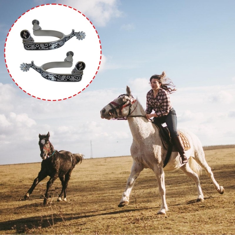 Western Cowboy Spur with Rowel Stainless Steel Horse Boot Spur ...