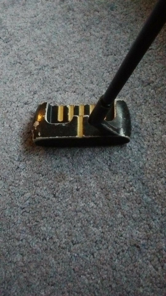 Alien Sport TUTCH Mallet Putter | eBay