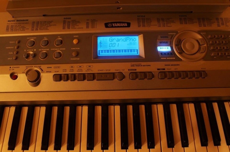 Yamaha DGX-200 Portable Grand Piano | eBay