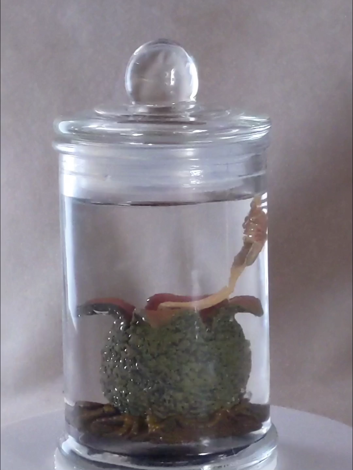 P34b Alien Jar Xenomorph Specimen Facehugger Embryo Glass Jar Movie ...