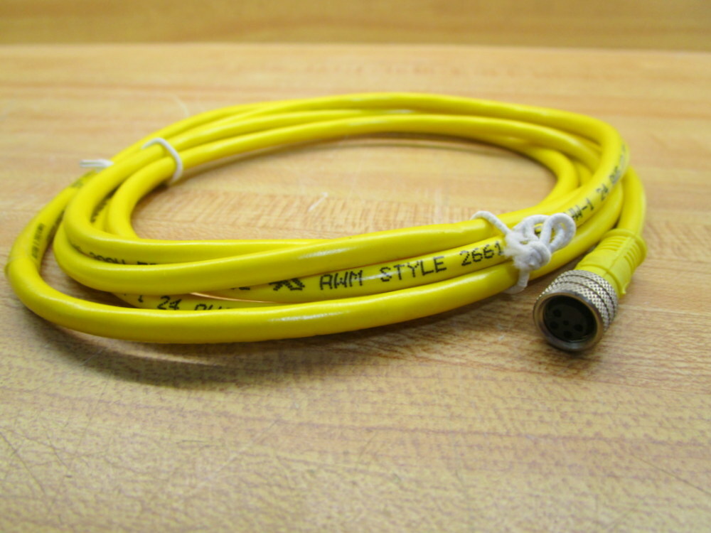 Allen Bradley QD CORDSET 4 Pin Pico Straight 2m Cable 889p-f4ab-2 Ser a ...