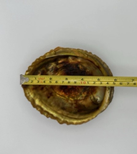 Vintage Abalone She’ll Trinket Bowl With Feet | Stunning Piece | eBay