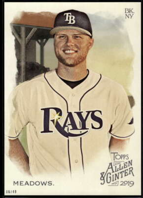 Austin Meadows 2019 Allen and Ginter 5x7 #363 6/49 Rays | eBay