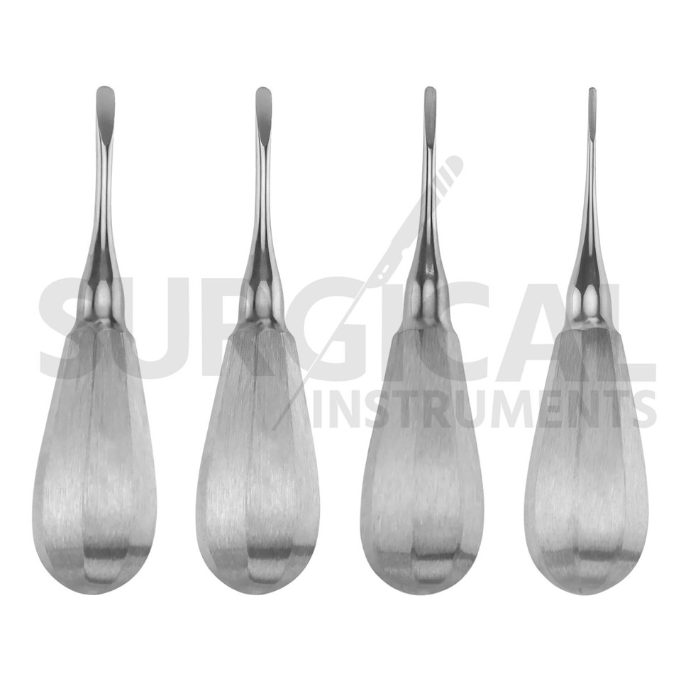 4 Pcs Luxating Straight Elevators Set Dental Instruments Stainless ...