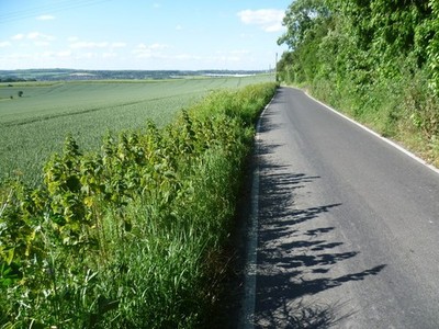Photo A2 Looking along Pilgrim's Way Wouldham Ringshill Place and the ...