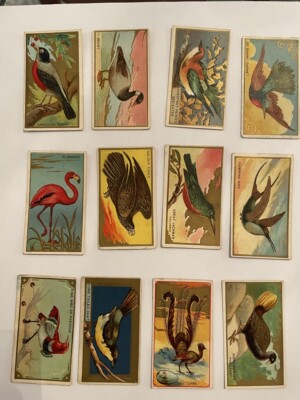 1910 T42 Mecca Bird Series - select card | eBay