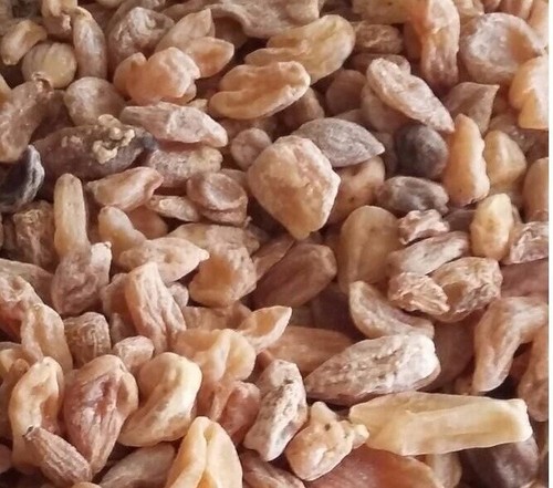 SALAB MISRI Salep Orchid Salam Misri Ayurveda WHOLE Indian Herbs | eBay