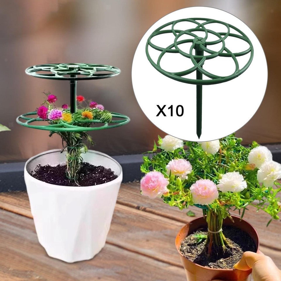 10 Pack Climbing Plant Support Trellis for Monstera And Peony Climbing ...