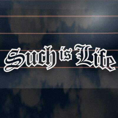 SUCH IS LIFE Sticker 215mm aussie ned kelly ute bns car wiindow decal ...
