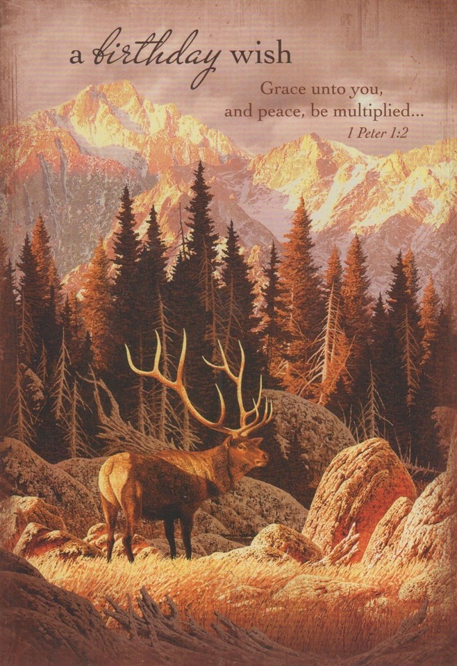 Birthday Elk Horse Wolf Trees In The Heartland Christian Religious ...