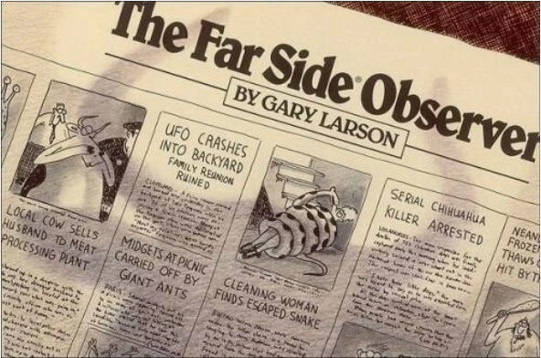 The Far Side Observer - Paperback By Larson, Gary - GOOD 9780836220988 ...