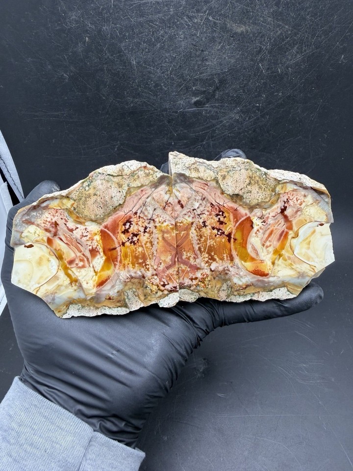 Morrisonite Jasper Split Old Stock Oregon Orbicular Jasper Beautiful ...