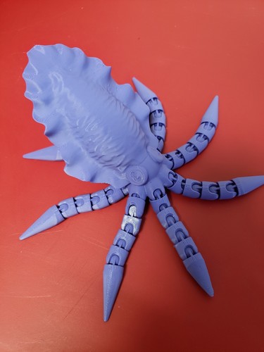 Cuttlefish, Fidget Toy, Cuttlefish, 3d-Cuttlefish Print, Articulated | eBay