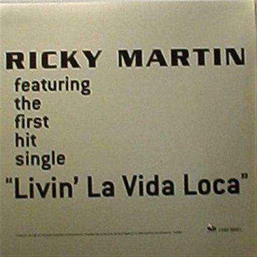 Ricky Martin Poster Flat Menudo | eBay